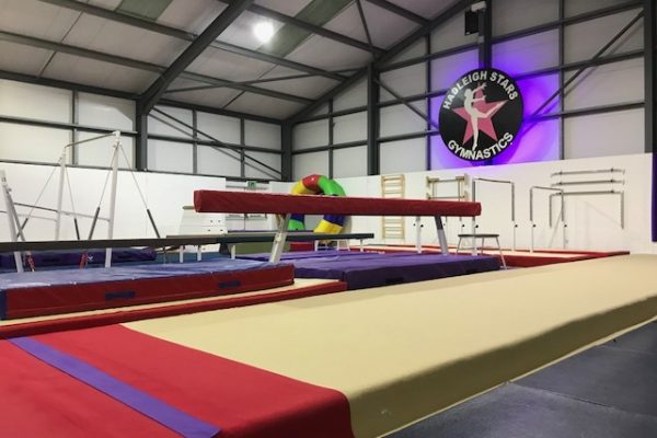 Hadleigh Stars Gymnastics – Elite & Recreational Gymnastics